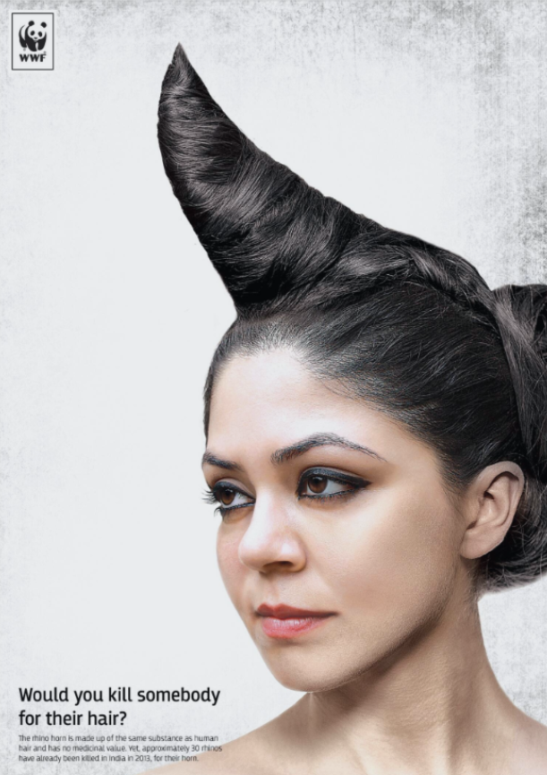 How to Analyse Charity Appeals – IB English Paper 1